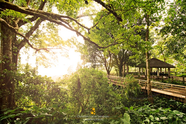 CAVITE | Picnic Grove Tagaytay - Lakad Pilipinas